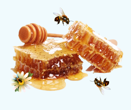 Home New - White River Bee Supply