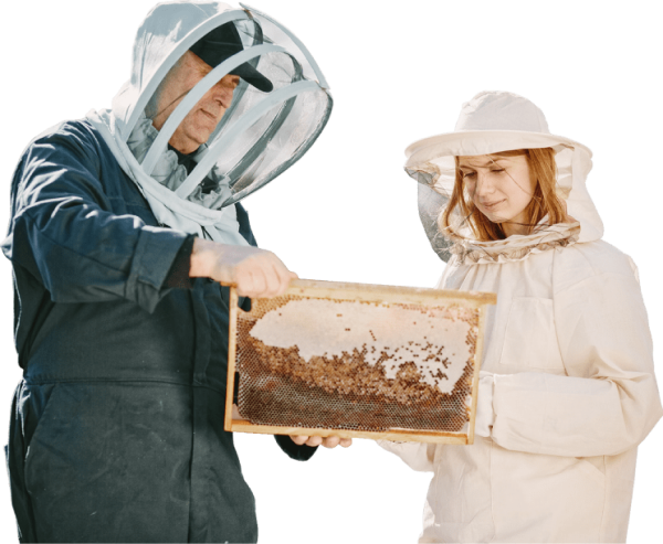About - White River Bee Supply
